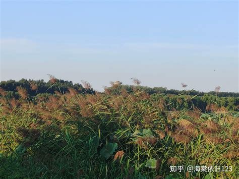 周四的一天 知乎