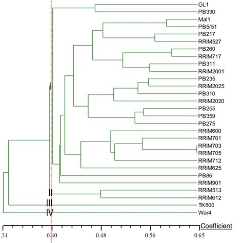 upgma clustering of 29 malaysian clones evaluated using 22 ssr primers