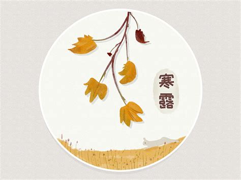 寒露snowbo 站酷zcool