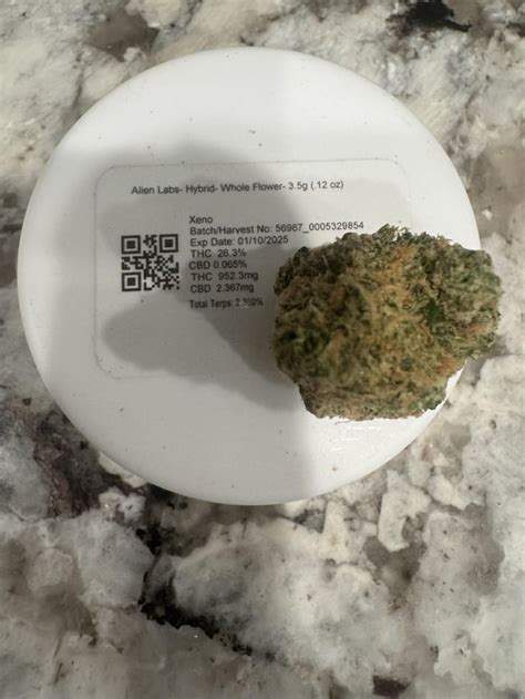 Alien Lab 18th With Photos Xeno Bklva And Biskante Rflmedicaltrees