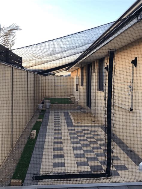 How To Build An Outdoor Cat Tunnel Artofit