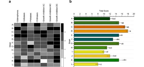 Summarized Results Of The In Vitro Screening Of Trichoderma Spp A The Download Scientific