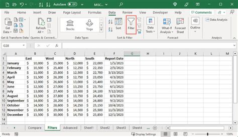 Filters Excel At Qiana Flowers Blog