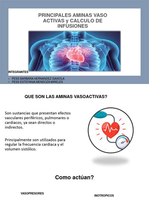 Principales Aminas Vasoactivas Y Calculo Original 2 Descargar Gratis