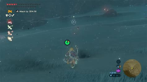 I Have No Clue Why But This Lynel And I Just Had The Most Horrifying