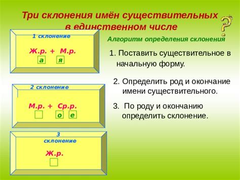 Три склонения имён существительных русский язык презентации