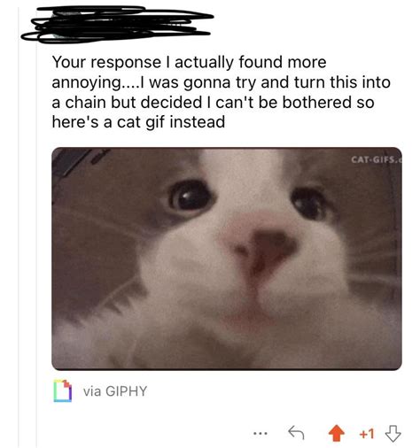 A Great Way To End An Argument I Love It 😂 R Wholesomememes