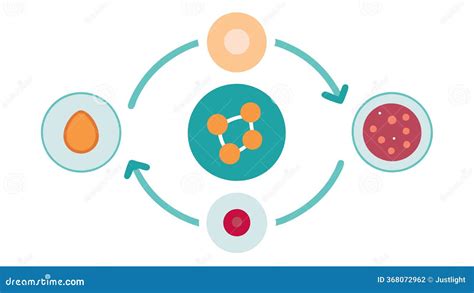 Encapsulation And De Encapsulation Process In Osi Reference Model Vector Illustration