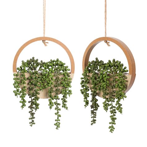 Floweroyal 2pcs Artificial Succulents Hanging Plants 122 Fake String