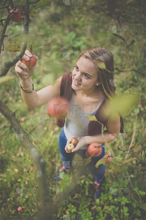 可爱的女孩在果园里摘苹果