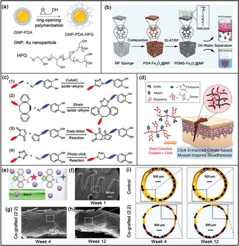 A Hydroxy Groups On Pda Initiated The Ring‐opening Polymerization Of