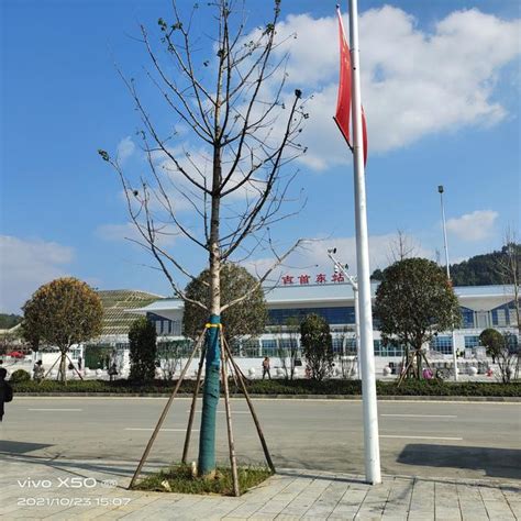 乘最美张吉怀高铁 赏神秘湘西！ 哔哩哔哩