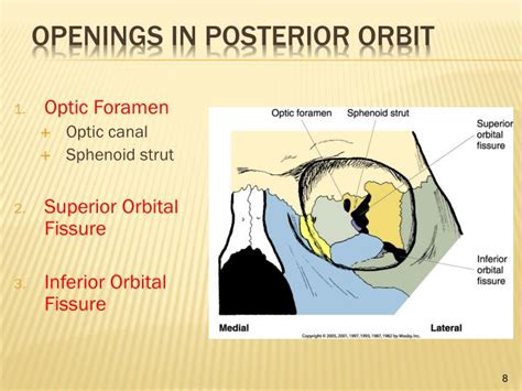 PPT ORBITS PowerPoint Presentation ID 3645605