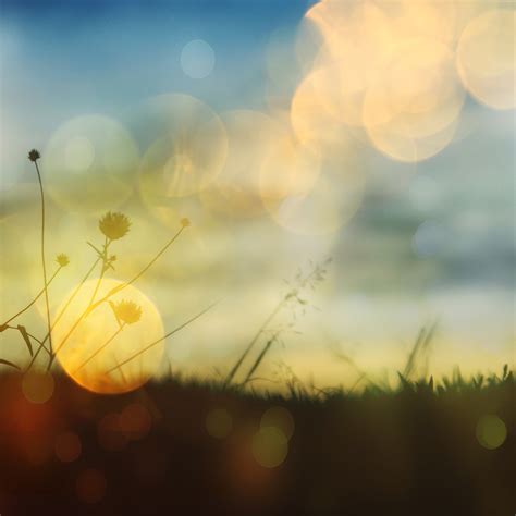 Die Sonne Geht Unter Stefan Eisele Als Kunstdruck Oder Gemälde