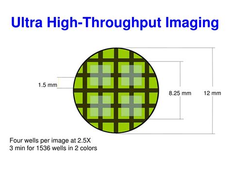 Ppt High Speed Imaging And Laser Optoinjection Of Genes Macromolecules Into Living Cells