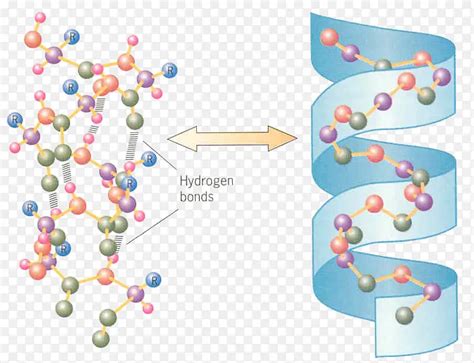 分子png图片素材下载图片编号yvejerjq 免抠素材网