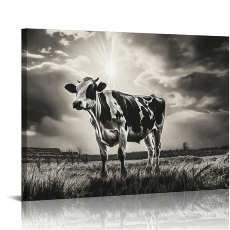 Nawypu Highland Cow Wall Art Canvas Printings Black And White Animal