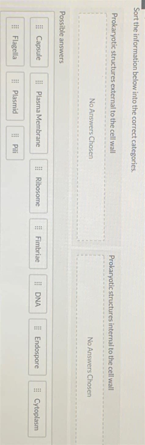 Solved Sort The Information Below Into The Correct Chegg