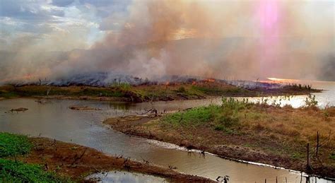 Los Incendios En La Amazonia Dejan Rastro De Carbono Negro En El Río