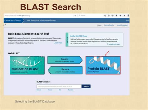 blast basic local alignment search tool pptx