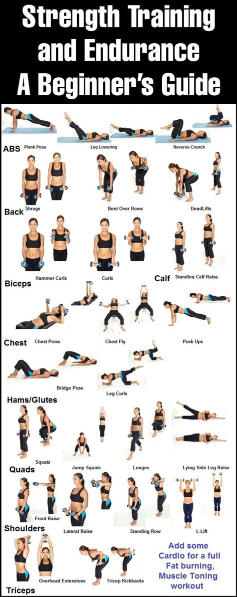 Strength And Conditioning Exercises List At Clifford Bloss Blog