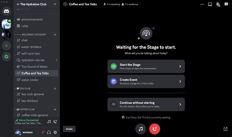 How To Make A Stage In Discord