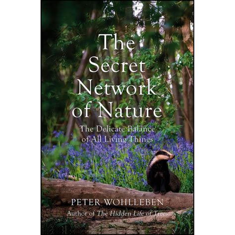 قیمت و خرید کتاب The Secret Network Of Nature اثر Peter Wohlleben