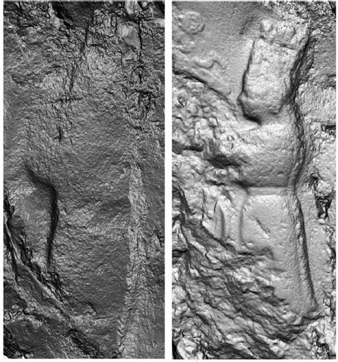 Comparison Of The Three Dimensional Models Of The So Called Unfinished