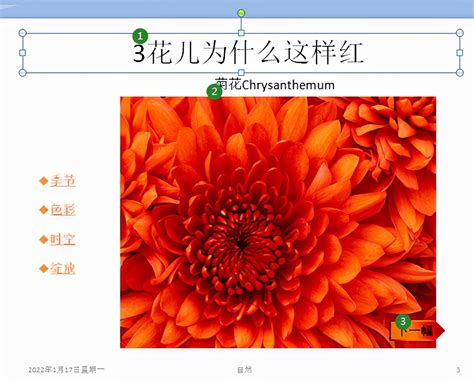 轻松办公系列进阶课堂 Officeppt演示文稿创建（六） 正数办公