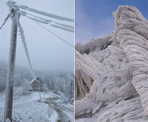 Real Life Scenes Of Frozen Spell Of Extreme Weather Transforms Trees Into Ice Sculptures