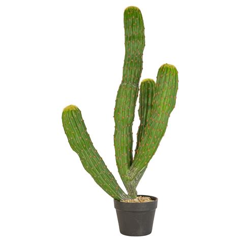 Multi Trunk Cactus Faux Plant Paynes Gray