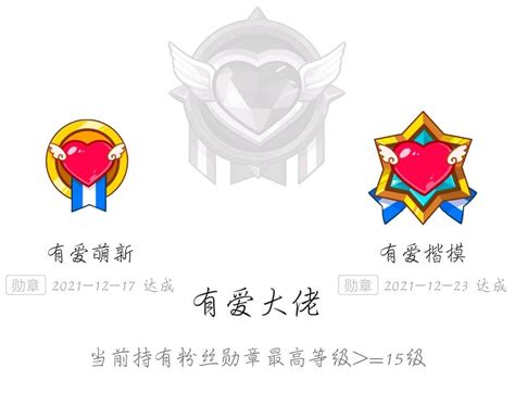 收藏家系列勋章and粉丝勋章提升等级 哔哩哔哩