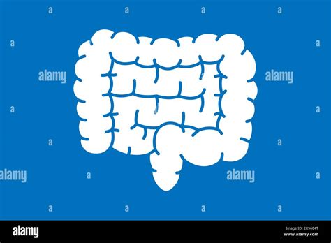 Human Intestines Symbol Isolated On Blue Background Human Organ Icon