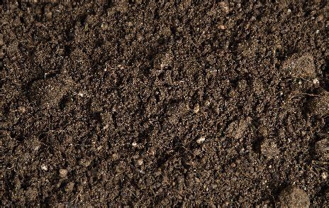 Expert Guide To Soil David Domoney Blog David Domoney