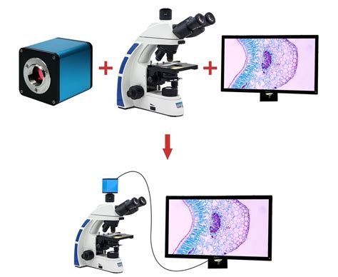 Autofocus Microscope Camera Eert Vision