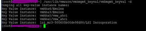 Get HBA And Firmware Version On ESXi