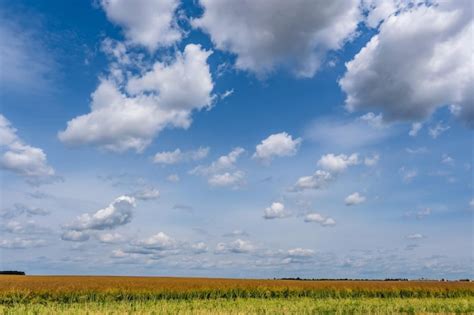 青空の背景に白い縞模様の雲が天国にあり、無限大が空の置換に使用される場合があります プレミアム写真