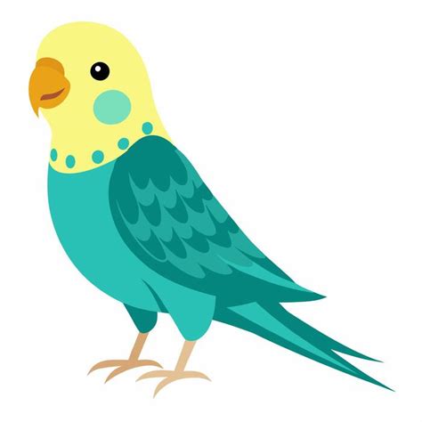 Golden Budgie Vector Art Icons And Graphics For Free Download