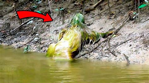 Scariest Things Found In Swamps Youtube