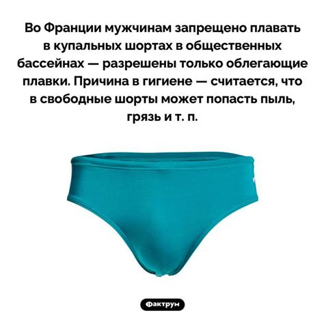 Французы плавают в плавках Интересные факты Факты Французы