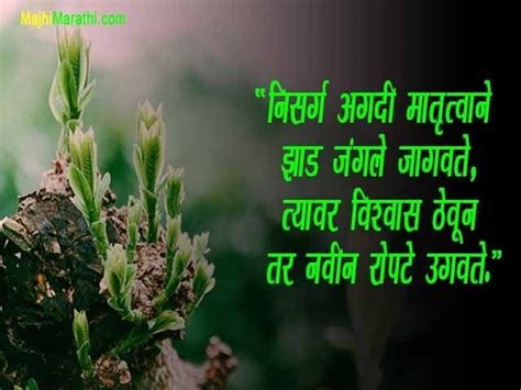 निसर्गाची सुंदरता दर्शवणारे विचार Best Nature Quotes In Marathi With