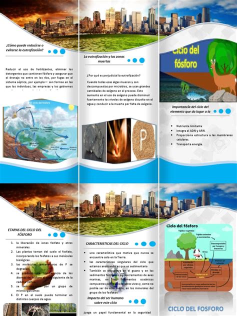 Tripti Ciclo De Fosforo Pdf Fósforo Oxígeno