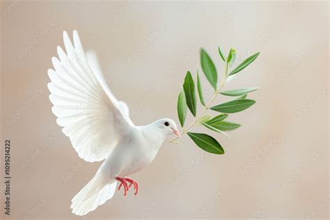 Peaceful White Dove Flying With An Olive Leaf In Its Beak Symbolizing