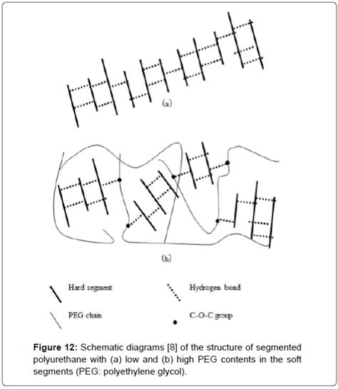 Textile Science Engineering Segmented Polyurethane Soft