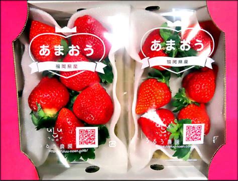 食藥署預告放寬多項農藥標準 「草莓」可用禁用農藥 新聞總覽 Ctzntalk 分享市民的大小事
