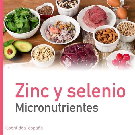 Zinc Y Selenio Micronutrientes Food Radish Vegetables