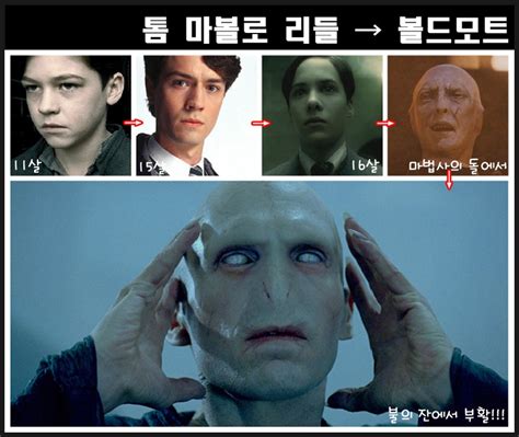 [특집] 해리포터 등장인물 총정리 네이버 블로그