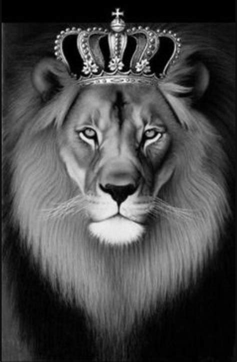 Lioness Wearing Crown