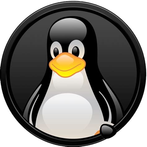 Zeitraffer Mit Dem Raspberry Pi Und Der Rasppi Cam Gloetter De