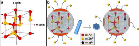 A Schematic Of Wurtzite Structure B Schematic Of Polarity Cloud Download Scientific Diagram